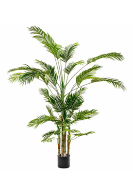 Palmera 210 cms - The Green Store