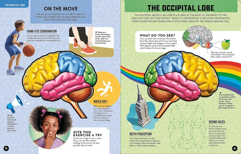 Inside Out Human Brain - Time Books