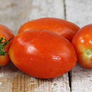 Tomate Amish Paste - Semilla Austral